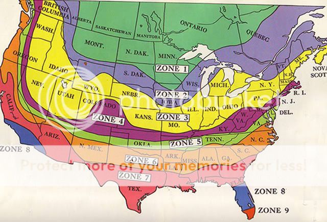 hardiness map - WEATHER / CLIMATE - PalmTalk