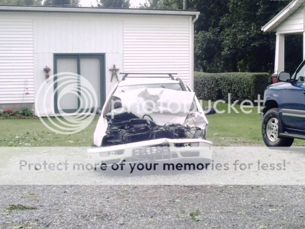 New Coilovers finaly on!!!!! | Page 2 | VW Vortex - Volkswagen Forum