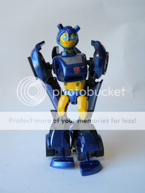 Minor/Repaint: - TFA Glyph | TFW2005 - The 2005 Boards