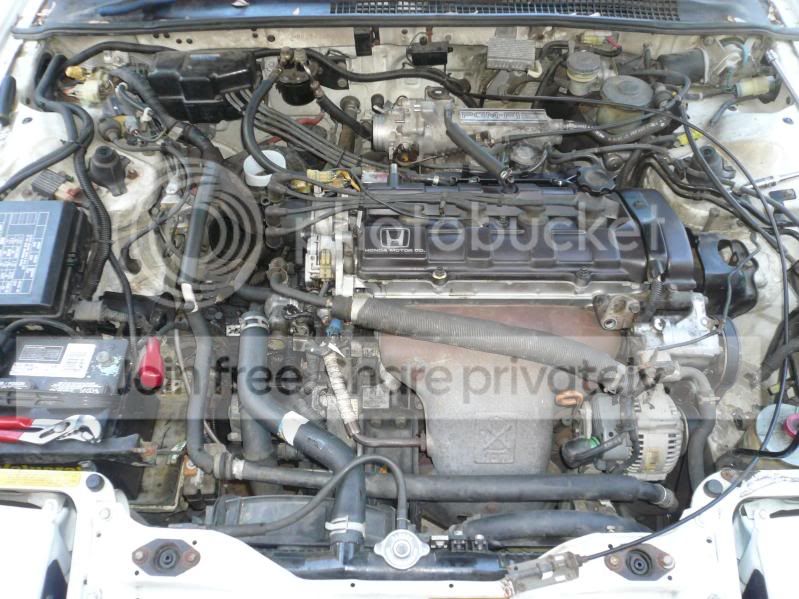 Twin's N/A B20a5 build | Honda Prelude Forum