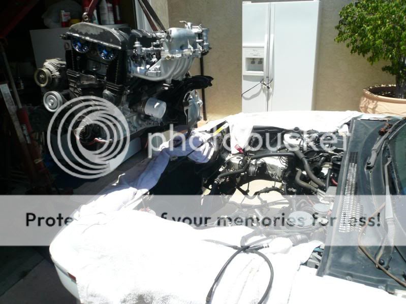 Twin's N/A B20a5 build | Honda Prelude Forum