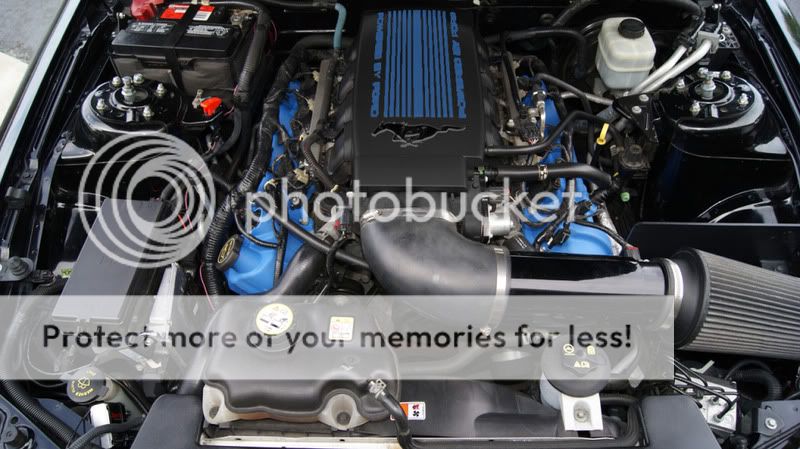 PROJECT: Engine Bay Makeover | S197 Mustang Forum - S197Forum.com