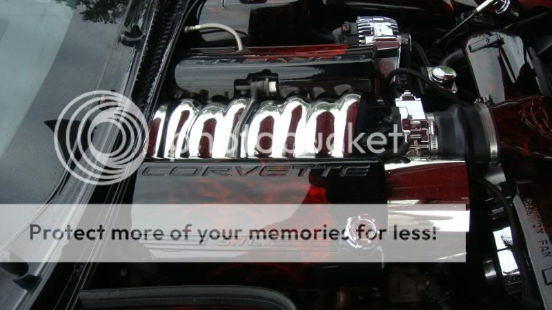 C5 Chrome Plenum/Intake Manifold Covers - Huge Sale Thru June! Save ...