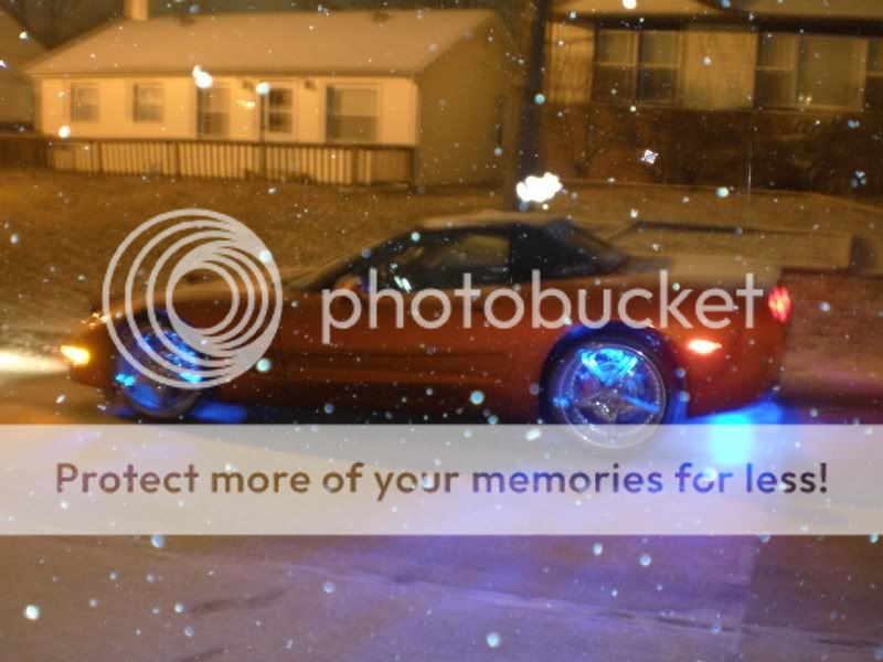 Neon Underbody Kit for C5 Vert - CorvetteForum - Chevrolet Corvette ...